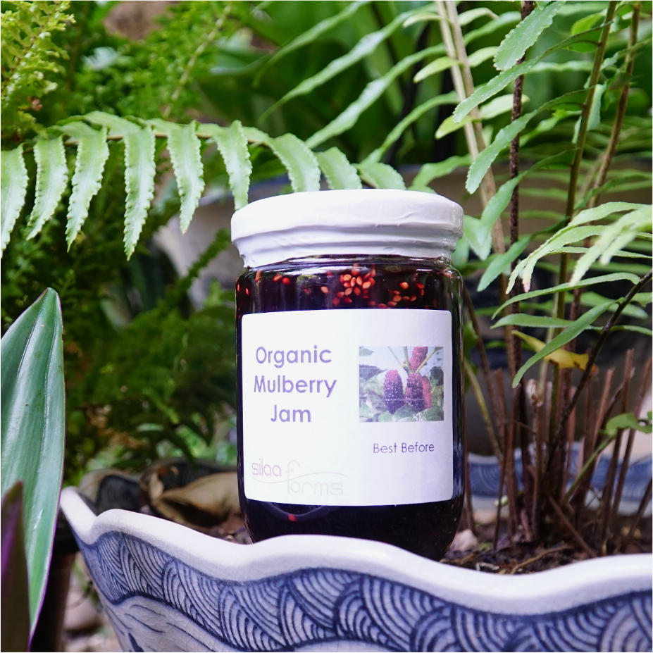 Organic Mulberry Jam (S) – Silaa Coffee
